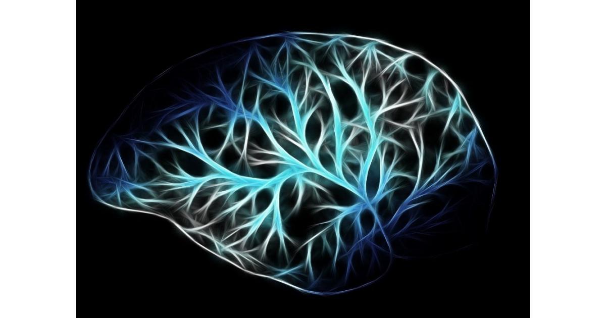 The effects of Fasting on the Brain